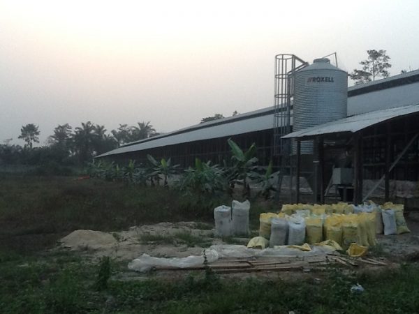 Roxell Projects - Kalvetagrolinks